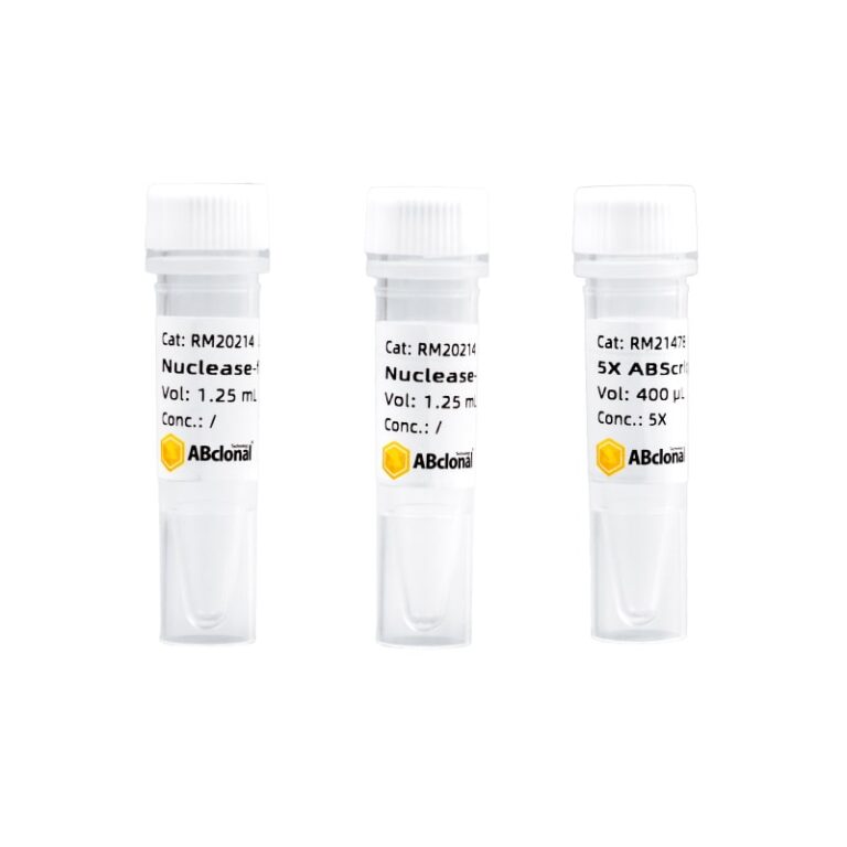 Mezcla maestra de transcripción inversa | GenLab